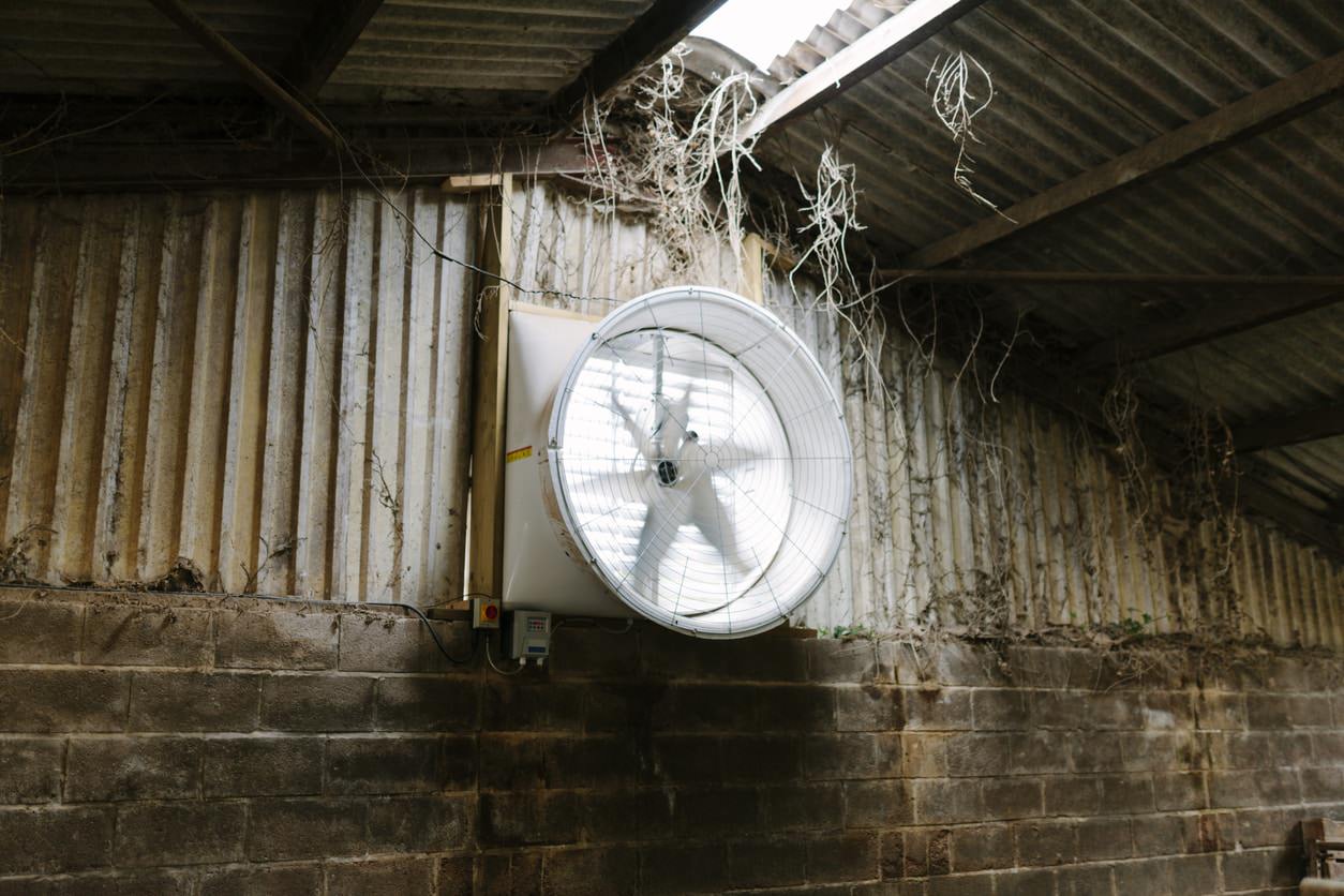 What Size Fan Do I Need For My Barn? Answers To Protect And Care For ...